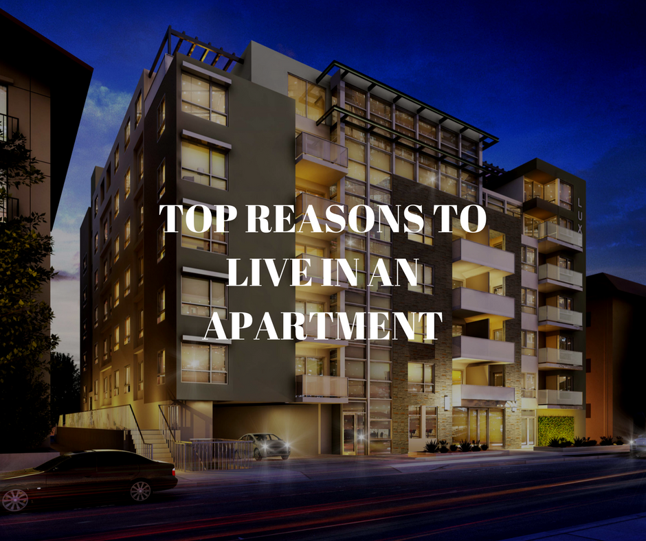 TOP REASONS TO LIVE IN AN APARTMENT (Part 1) | Coral Blog